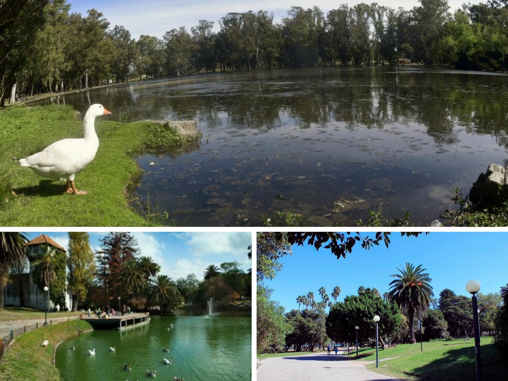 Parque Batlle es el espacio público peor evaluado por los montevideanos ...