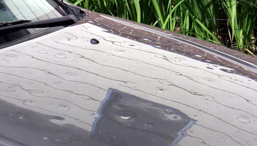 BSE recibió al rededor de 3.000 denuncias por roturas de vehículos por ...