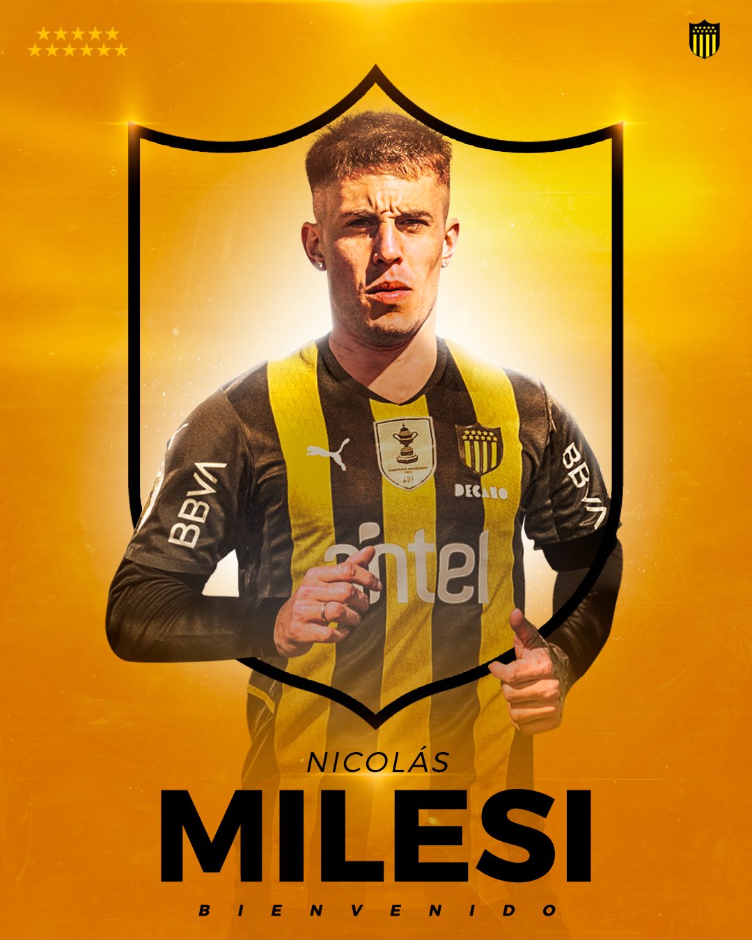 Milesi es aurinegro - 970 Universal