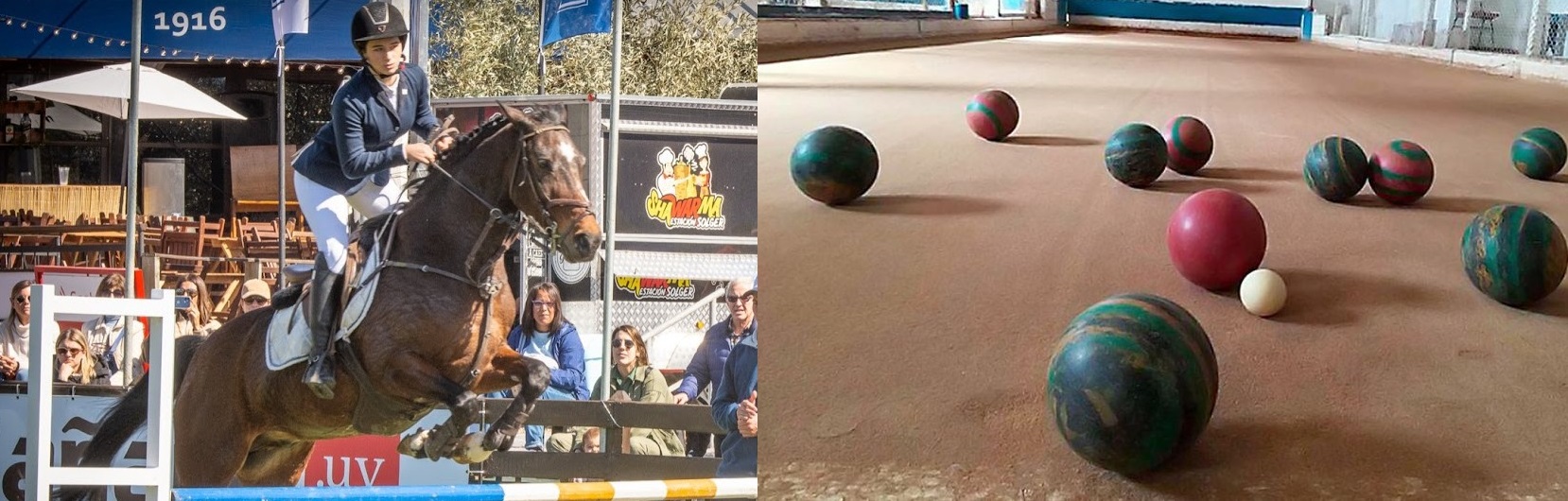 ¿Cuáles son las características principales de las bochas y los ...